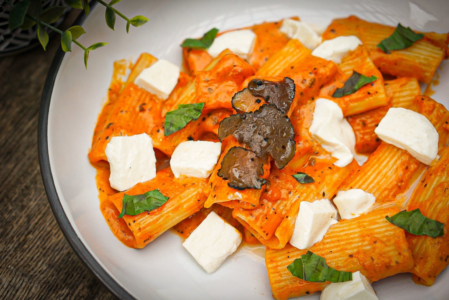 Barsecco | Restaurant and Lounge Restaurant in | Dish Miami