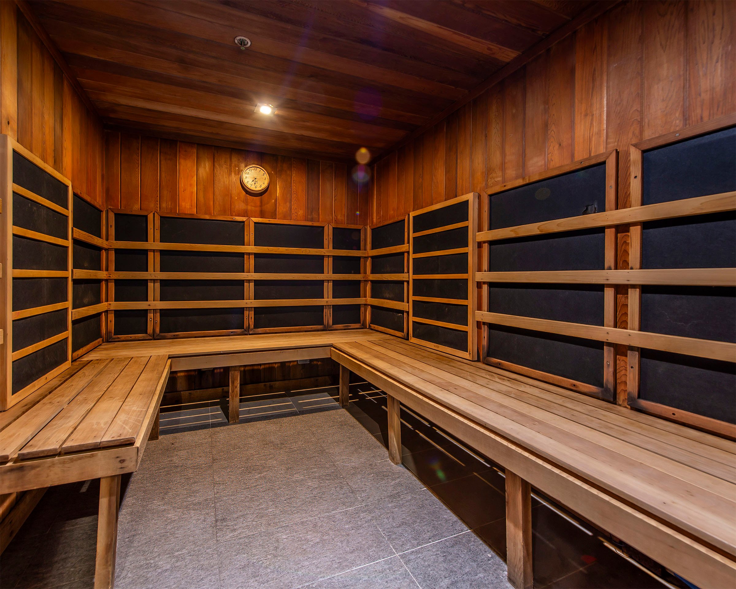 Cold Plunge and Sauna Miami: The Wellness Recovery Guide | Dish Miami